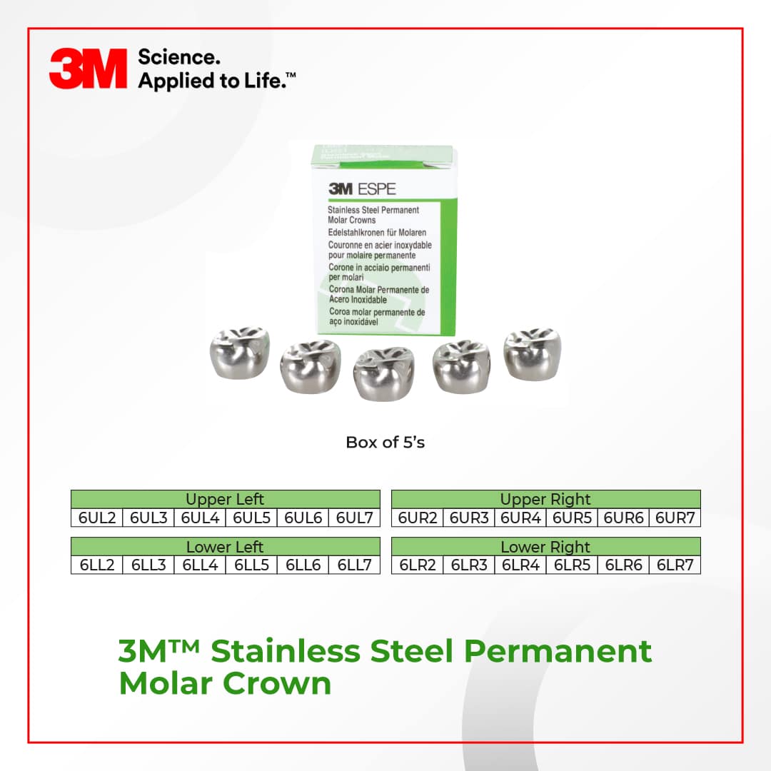 3M™ ESPE™ Stainless Steel Permanent Molar Crowns - Galla Dental