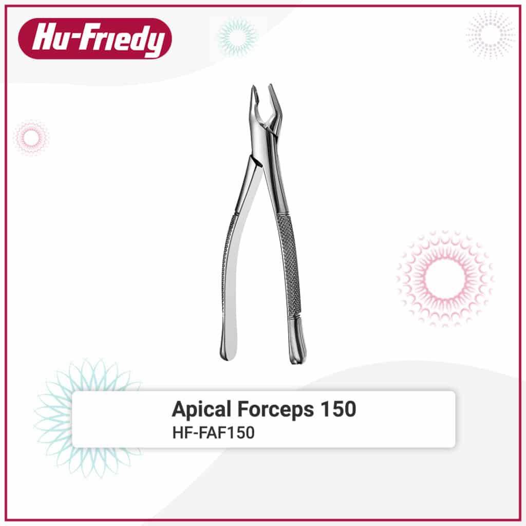 Apical Forceps 150 - Galla Dental